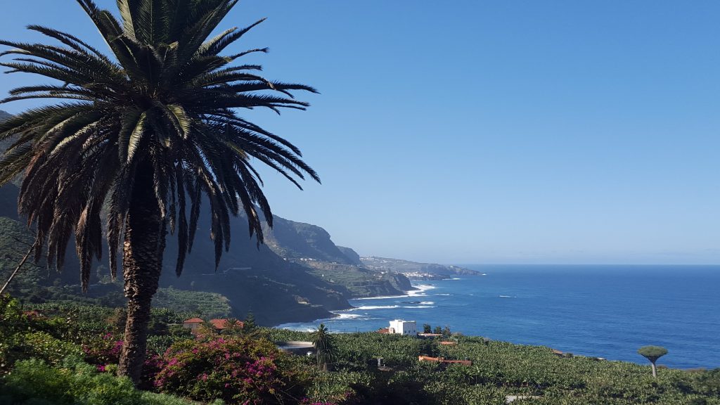 Wandelen op Tenerife is een wonderlijke verrassing - DailyGreenspiration