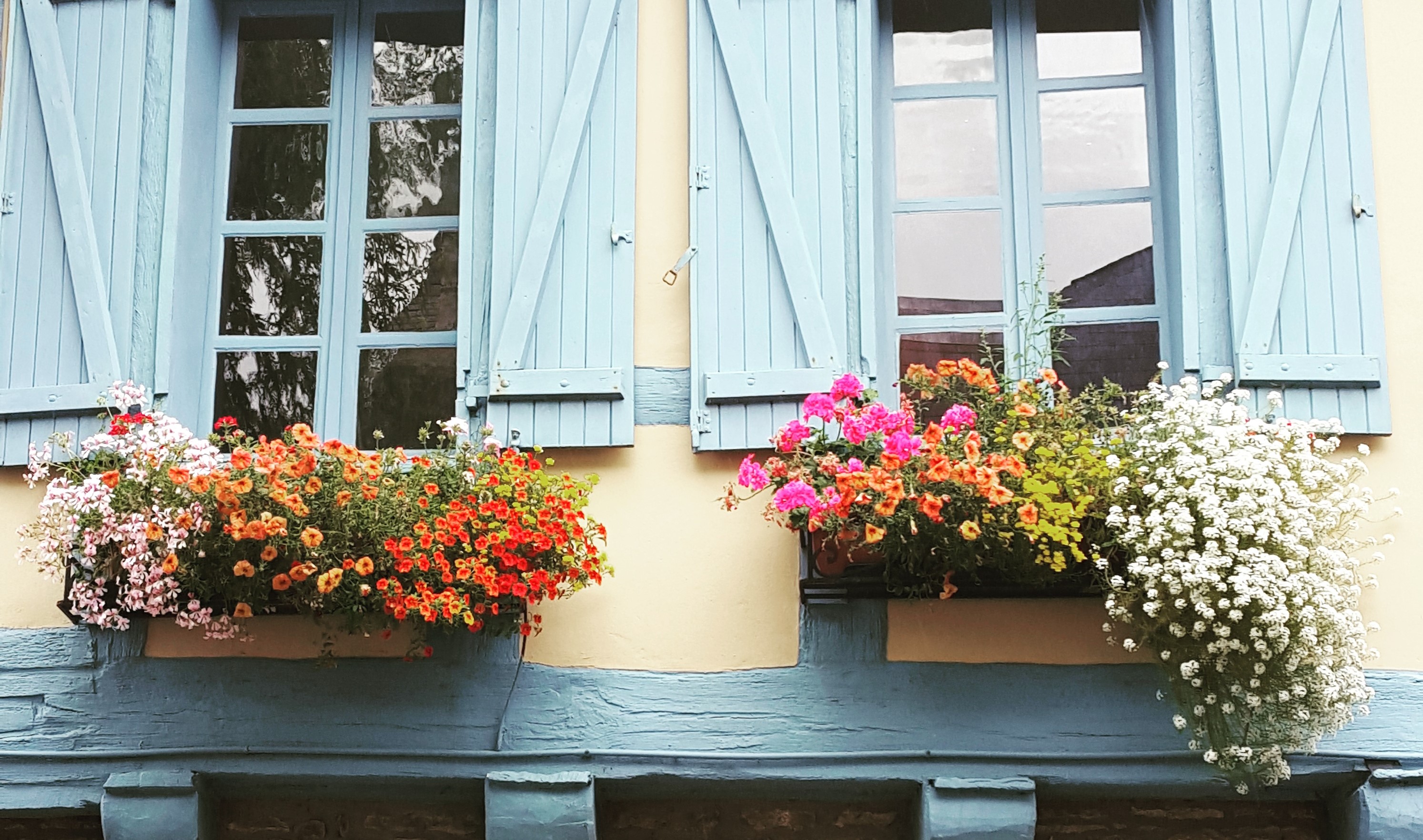 Groene parel in Amsterdamse steenwoestijn - DailyGreenspiration