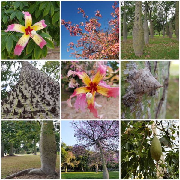 Op de groene fietstoer in Valencia ⋆ DailyGreenspiration