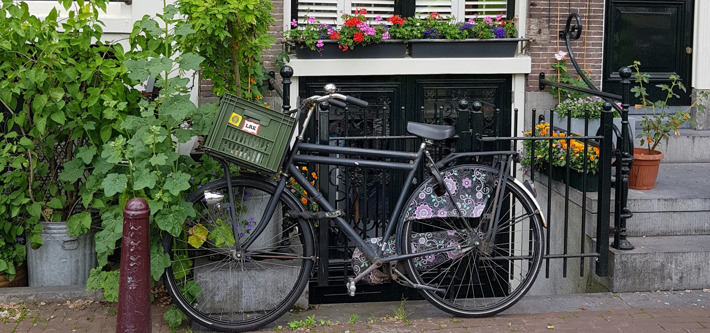 Tips & trucs uit de geveltuinen van Amsterdam - DailyGreenspiration