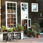 Tips & trucs uit de geveltuinen van Amsterdam - DailyGreenspiration