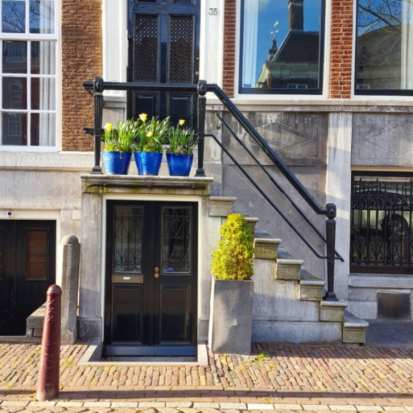 Tips & trucs uit de geveltuinen van Amsterdam - DailyGreenspiration