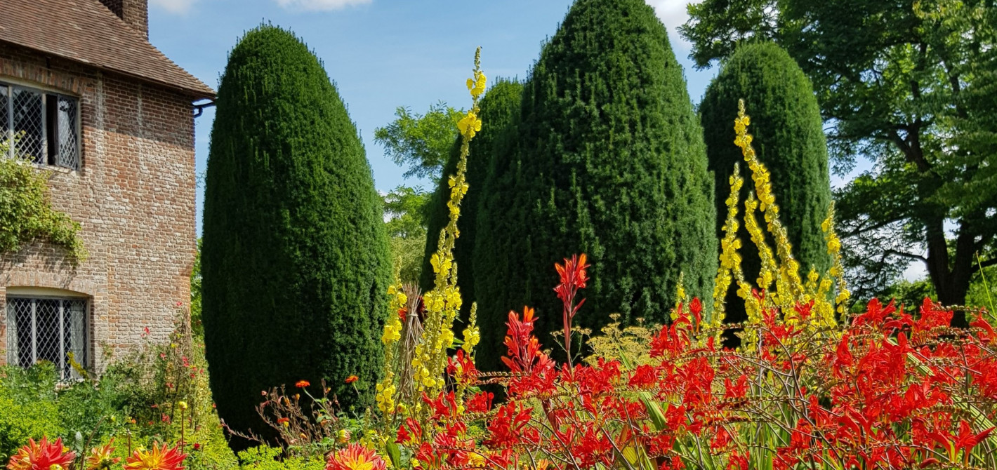 7 tips + bonustips voor een avontuurlijke haag in je tuin ...