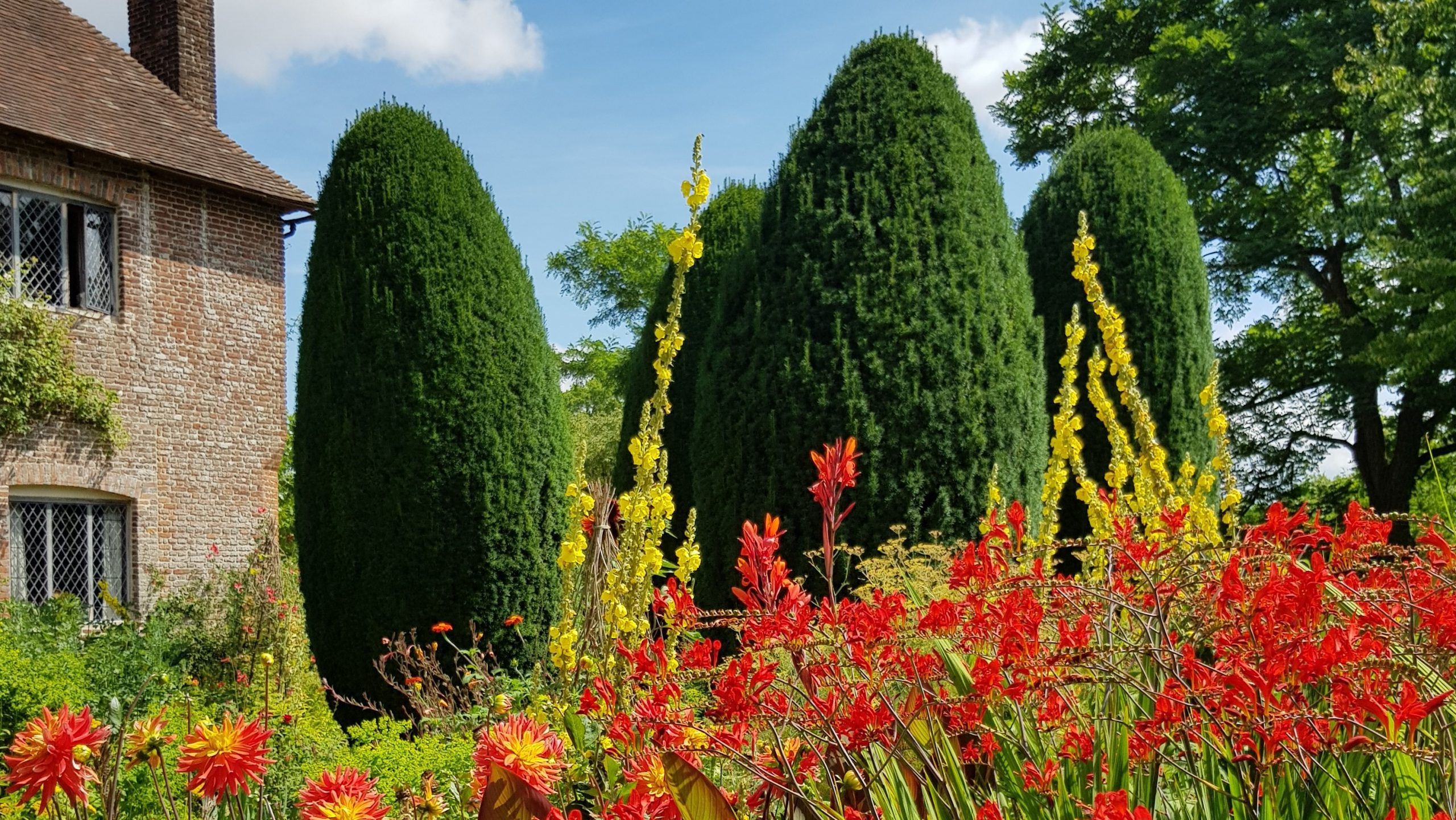 7 tips + bonustips voor een avontuurlijke haag in je tuin ...