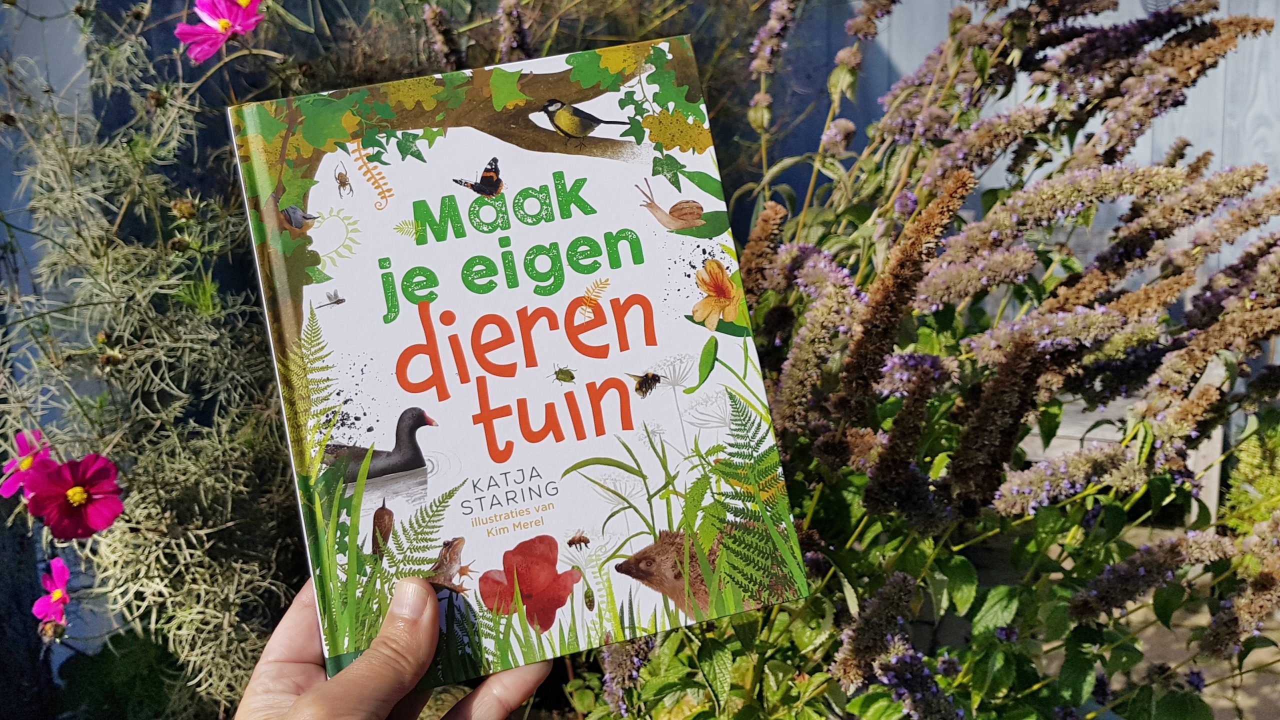 Mijn kinderboek 'Maak je eigen dierentuin' - DailyGreenspiration